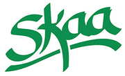 Receivers – SKAA
